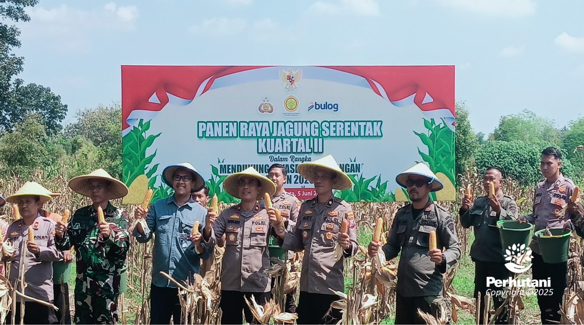 Perhutani Perhutani Mojokerto dan Stakeholder Gelar Panen Raya Jagung Serentak Kuartal II