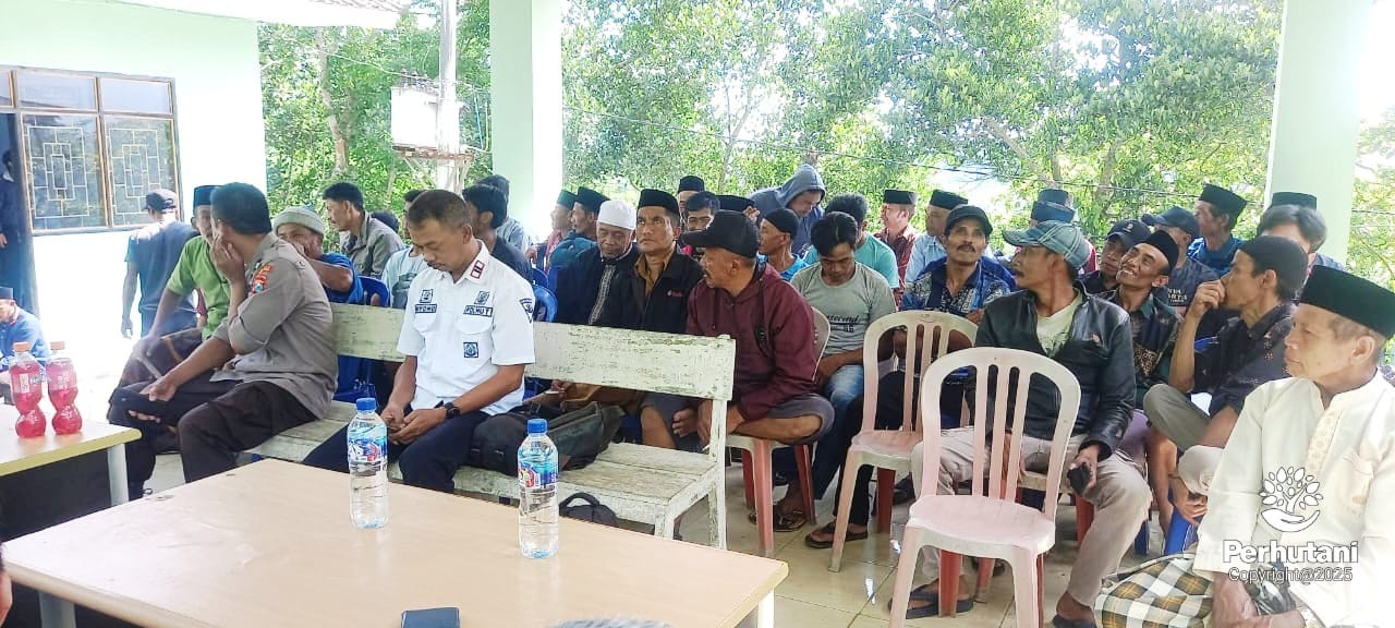 Perhutani Perhutani Probolinggo Gelar Sosialisasi Agroforestry Kopi ...