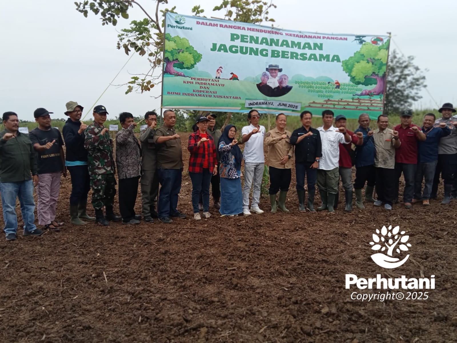 Perhutani Perkuat Ketahanan Pangan, Perhutani Dukung Koperasi Bumi Indramayu Nusantara Tanam ...