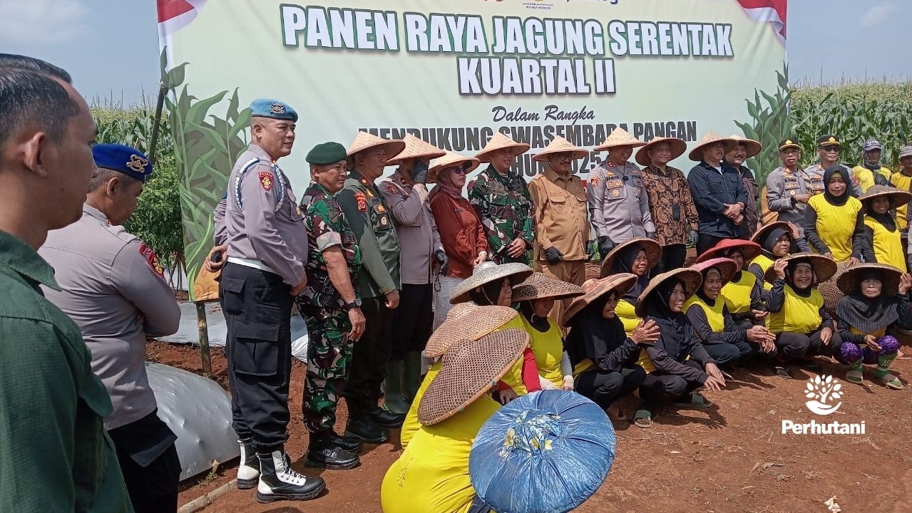 Perhutani Perhutani KPH Sukabumi Dukung Panen Raya Jagung Serentak Kuartal II Tahun 2025