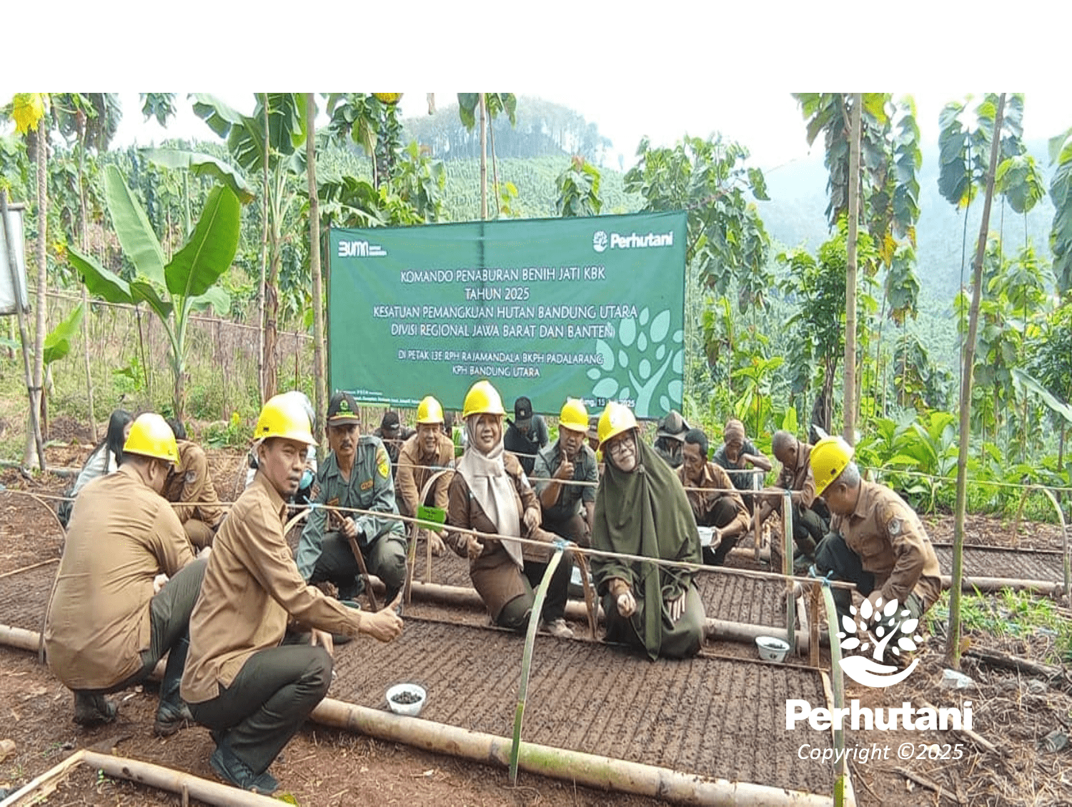 Perhutani Perhutani Laksanakan Komando Tabur Benih Serentak Jati Asal KBK Di Bandung