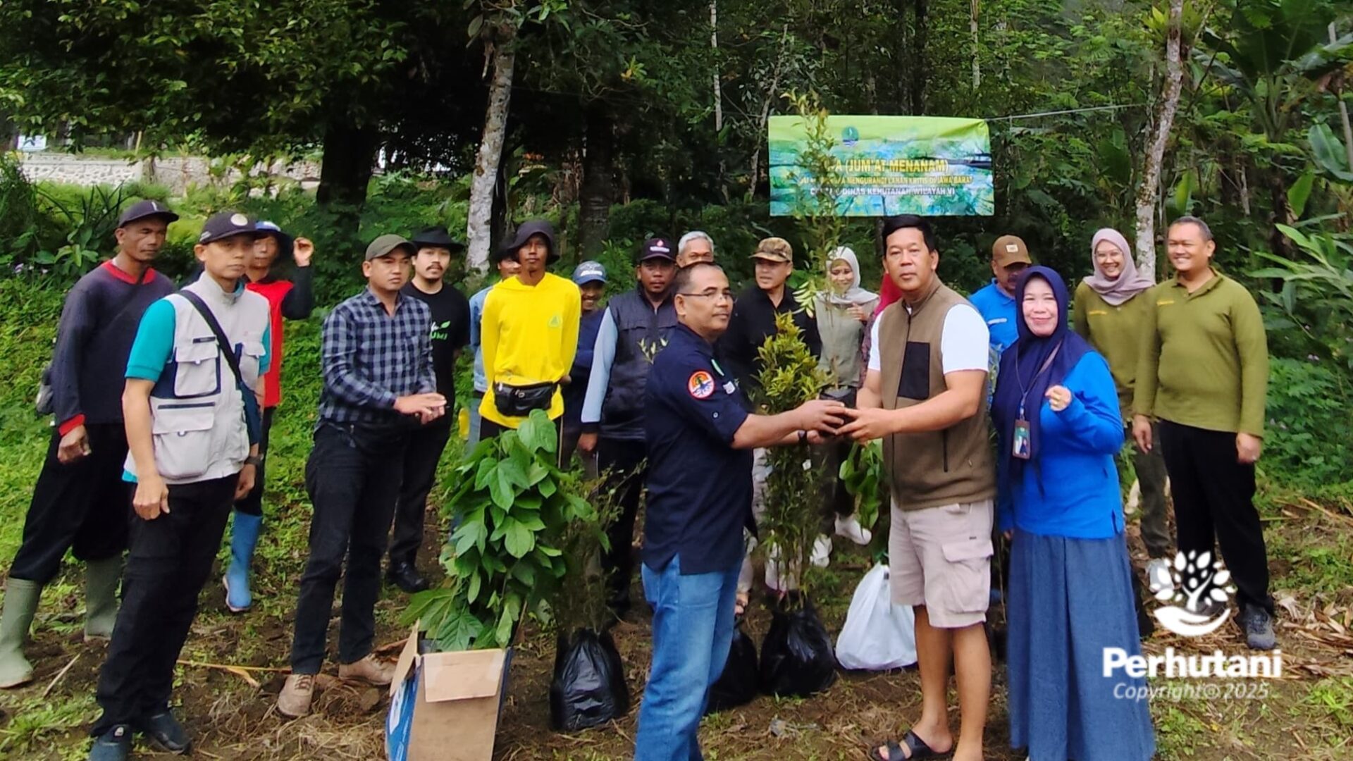 Perhutani Perhutani Tasikmalaya dan CDK VI Tanam Pohon Picung Dukung Program JUNA