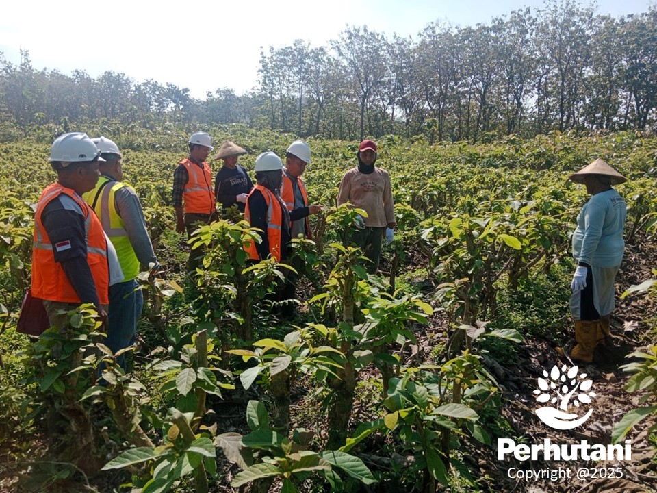 Perhutani Perhutani Purwodadi Gelar Inspeksi K3 di Persemaian Sinawah