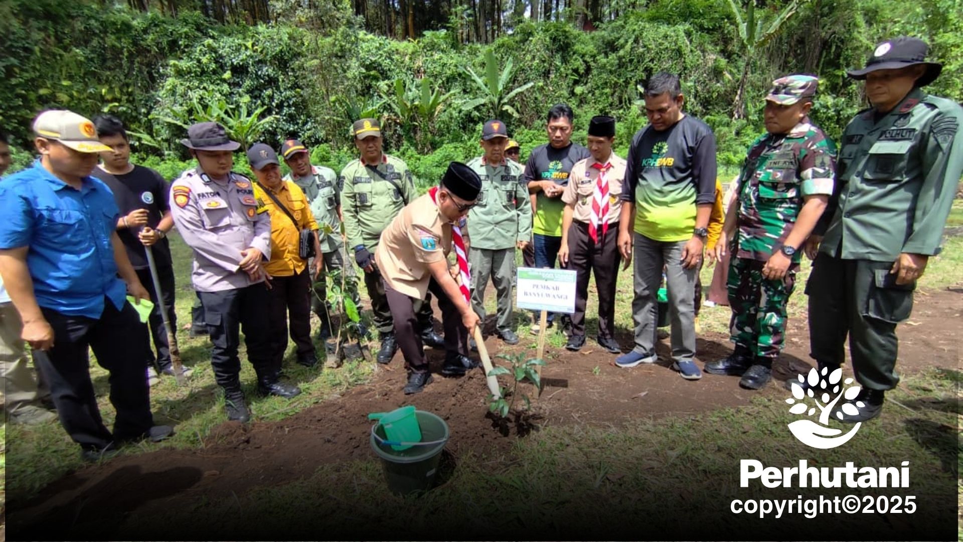 Perhutani Perhutani Bersama Wabup Banyuwangi dan Masyarakat Hijaukan ...