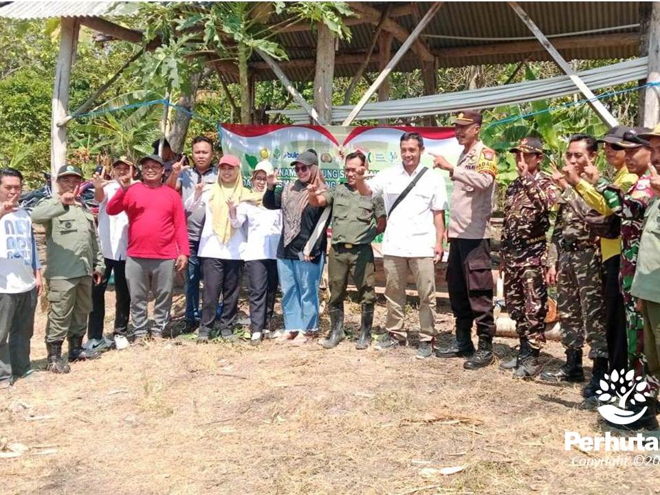 Perhutani Perhutani KPH Padangan Dukung Ketahanan Pangan Lewat Penanaman Jagung