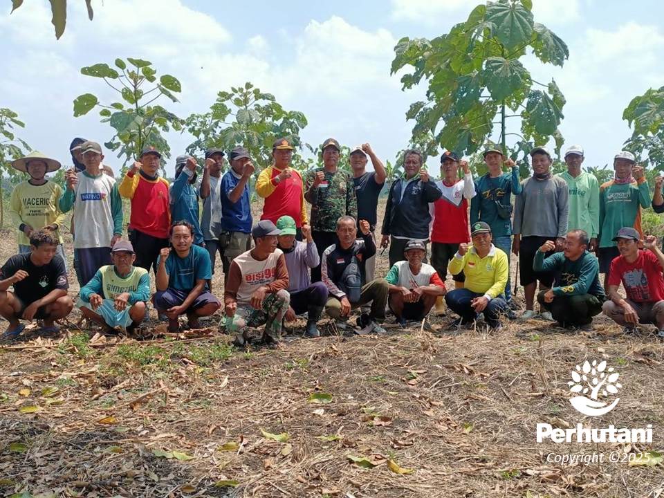 Perhutani Perhutani Padangan Perkuat Sinergi dengan LMDH untuk ...
