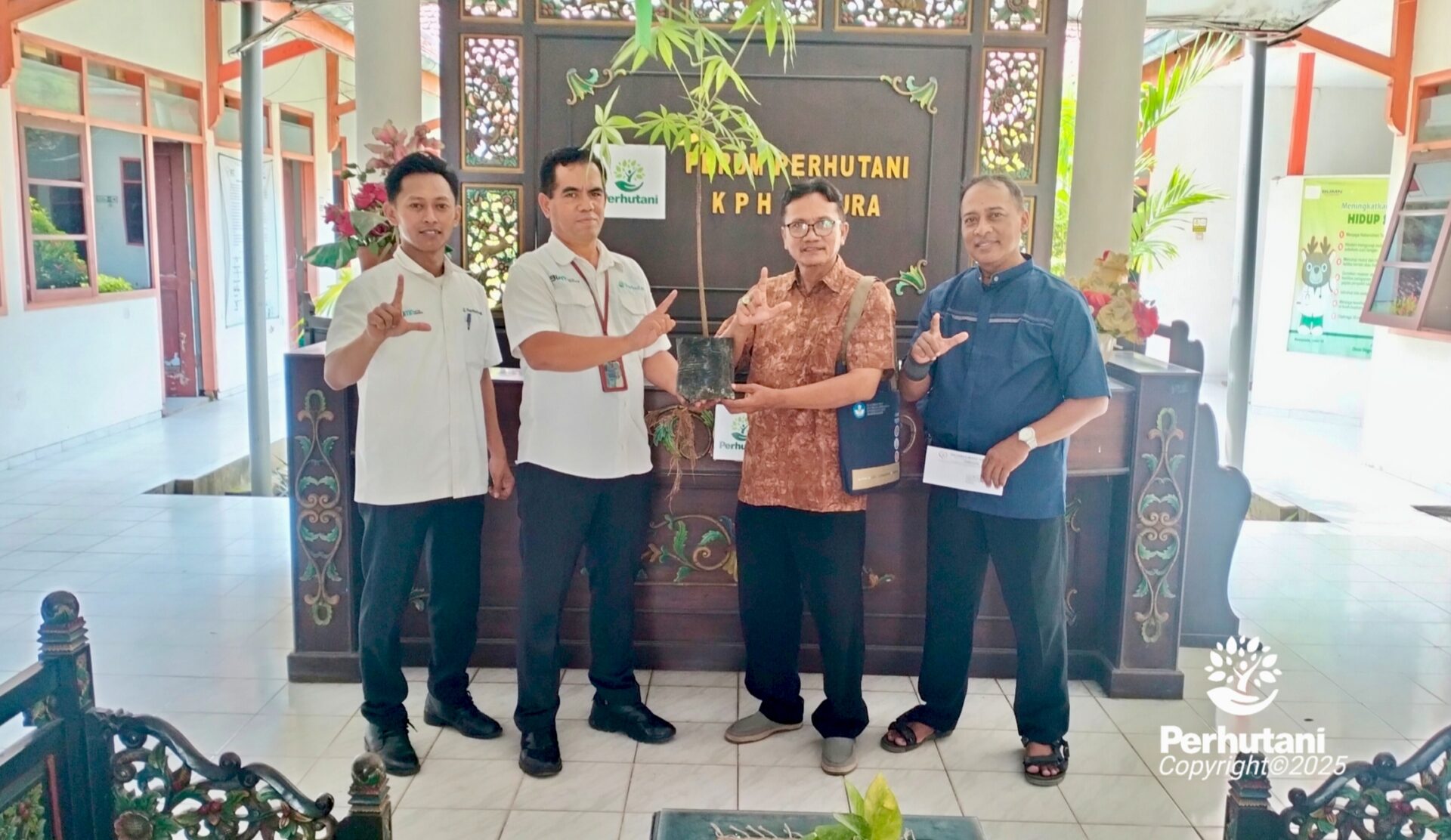 Perhutani Perhutani KPH Madura Salurkan 50 Bibit Kepuh Dukung Aksi ...