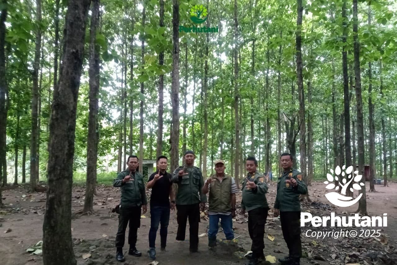Perhutani Perhutani KPH Indramayu Gelar Patroli Gabungan Jelang Tahun ...